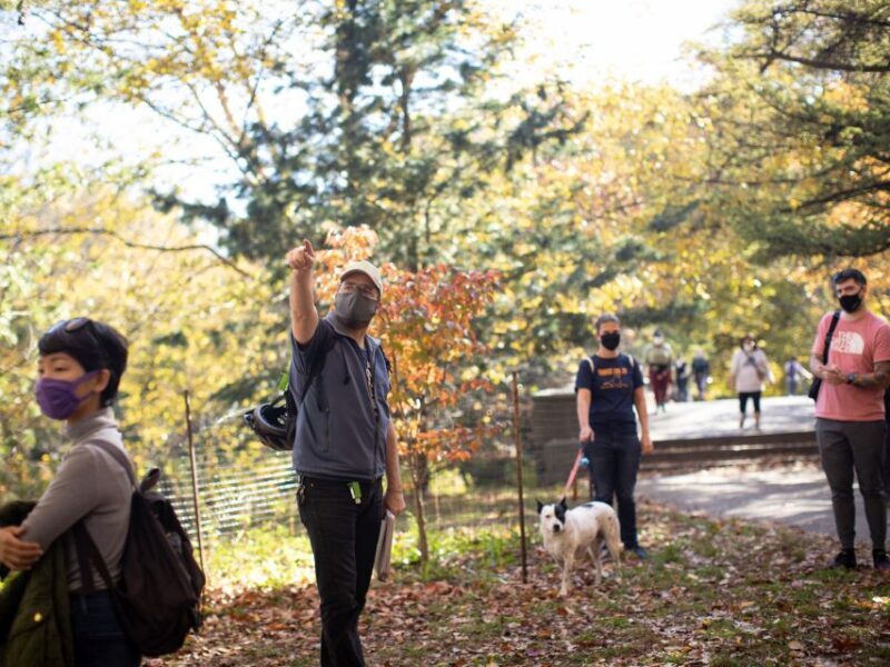 Brooklyn: 2-Hour Prospect Park Guided Walking Tour - Discover Brooklyn’s Hidden Gems with a 2-Hour Prospect Park Guided Tour