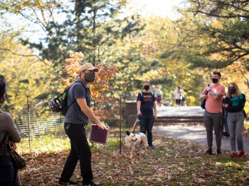 Brooklyn: 2-Hour Prospect Park Guided Walking Tour - An Honest Look at the Prospect Park Guided Tour