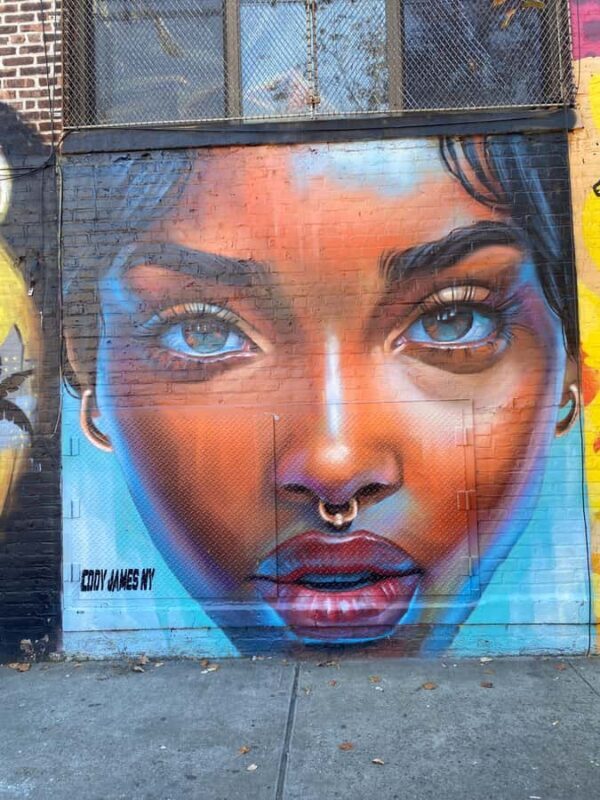 Brooklyn: Bushwick Graffiti Tour - Exploring Bushwick’s Street Art Landscape