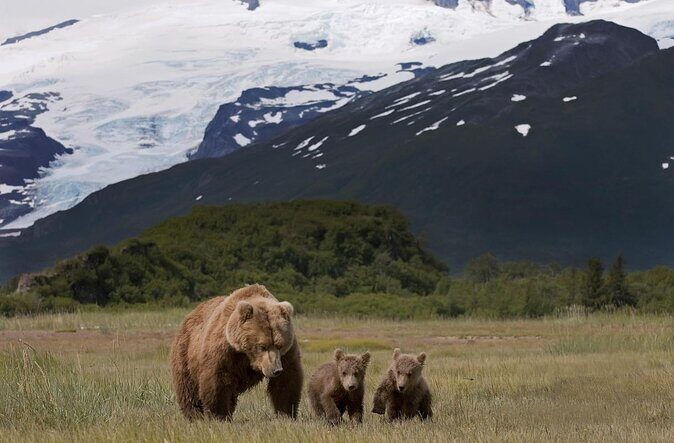 Brooks Falls Katmai Bear Viewing in a Float Plane - The Floatplane Flight: Scenic and Exclusive