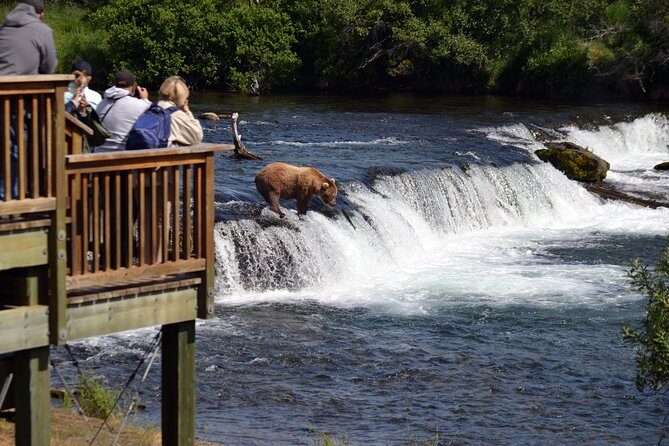 Brooks Falls Katmai Bear Viewing in a Float Plane - Logistics and Considerations
