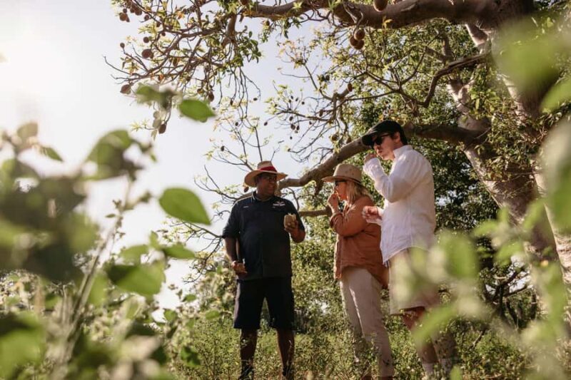 Broome: Cable Beach Indigenous Walking Tour - The Itinerary: What to Expect