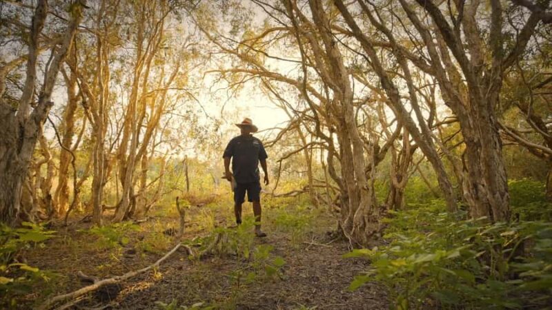 Broome: Cable Beach Indigenous Walking Tour - Is This Tour Worth It?