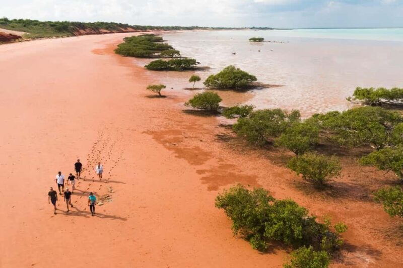 BROOME: DINOSAUR ADVENTURE CRUISE - With Tapas and Cocktail - Authentic Experiences and Traveler Feedback