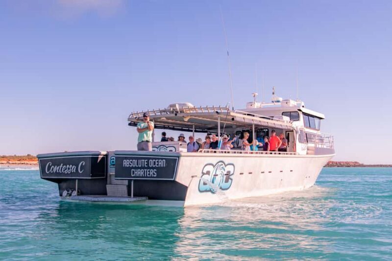 Broome Sunset & Whale Watching Cruise - An In-Depth Look at the Broome Sunset & Whale Watching Cruise