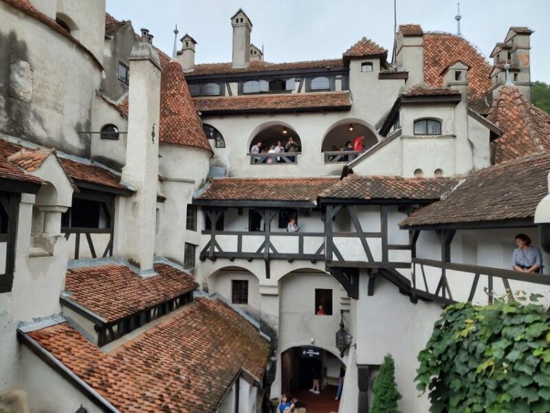 Brown Bear Sanctuary, Bran Castle & Rasnov Fortress Day Tour - Who This Tour Is Best For