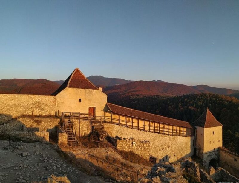Brown Bear Sanctuary, Bran Castle & Rasnov Fortress Day Tour - Final Thoughts