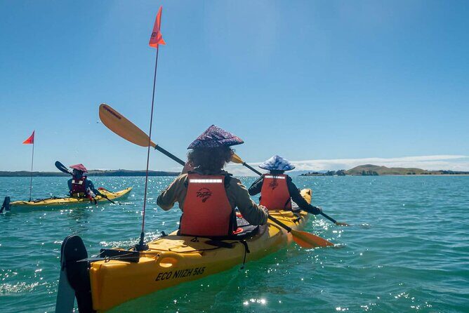 Browns Island Motukorea Sea Kayak Tour - The Experience’s Value: Who It’s Perfect For