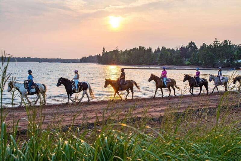 Brudenell: Family-Friendly Horse Ride goes on the Beach - A Practical Look at the Brudenell Family-Friendly Horse Ride on the Beach