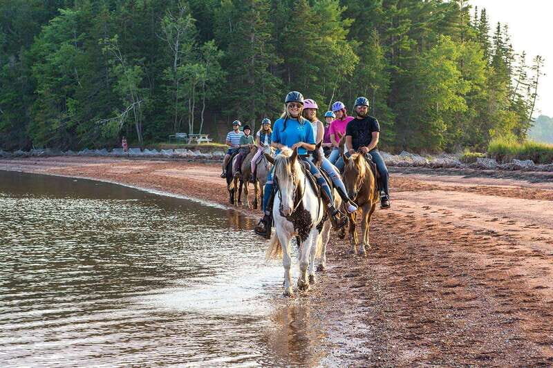 Brudenell: Family-Friendly Horse Ride goes on the Beach - Key Points