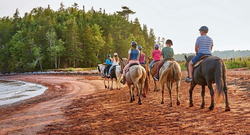 Brudenell: Family-Friendly Horse Ride goes on the Beach - Practical Tips & Considerations
