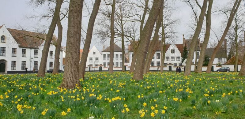 Bruges: 2.5-Hr Walking Tour from train station to Markt - The Practicalities: From Booking to Completion