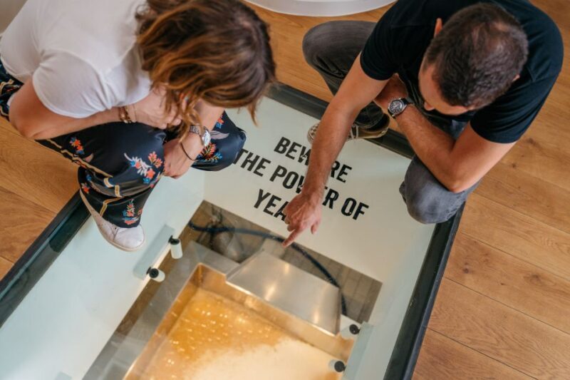 Bruges: Bourgogne des Flandres Brewery and Distillery Visit - Introduction: A Beer Lover’s Dream in Bruges