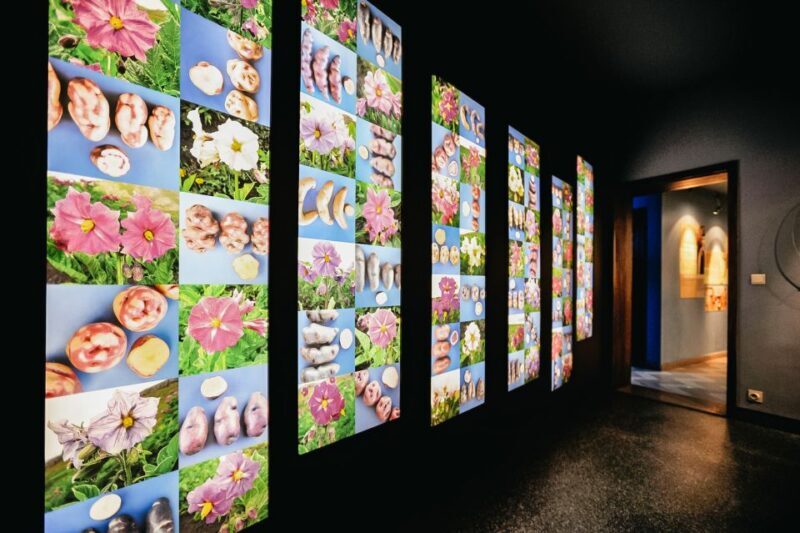 Bruges: Frietmuseum Entry Ticket - What to Expect During Your Visit
