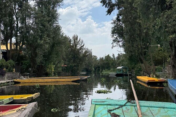 Brunch at Xochimilco, México City. - A Deeper Look into the Experience