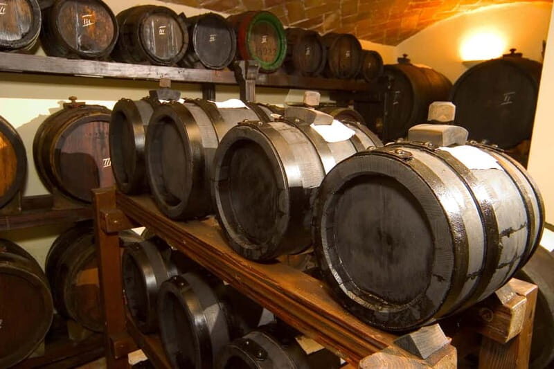 Brunch, balsamic vinegar, and wines: tour of the Emilian hills from Bologna - Key Points