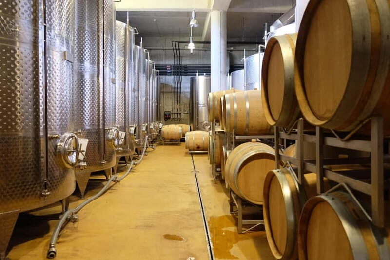 Brunch, balsamic vinegar, and wines: tour of the Emilian hills from Bologna - An In-Depth Look at the Emilia Hills Food & Wine Tour