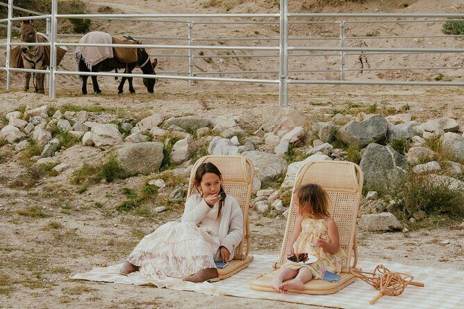 Brunch with Mini Rescue Burros in Southern California - An Encounter with Mini Rescue Burros in California