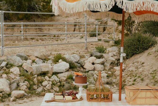 Brunch with Mini Rescue Burros in Southern California - The Sum Up: Why This Tour Works