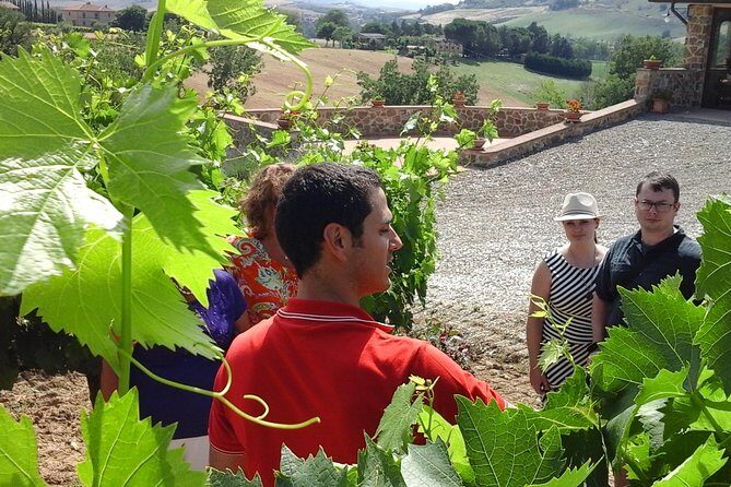 Brunello Vineyards Bus Tour - Final Thoughts