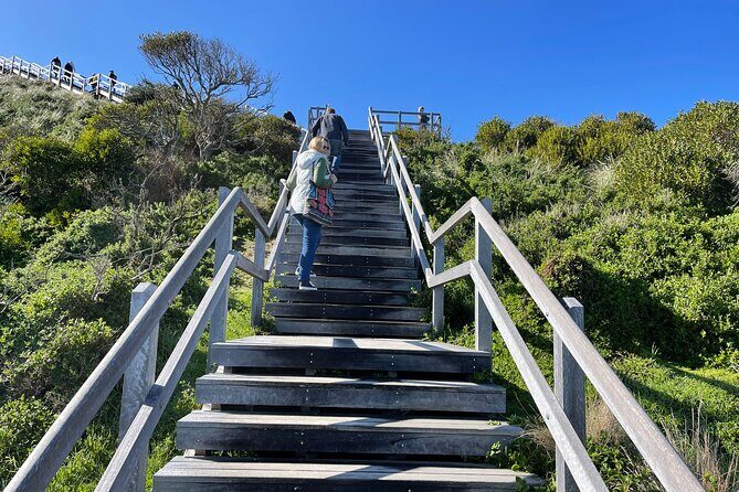 Bruny Island Adventure - Active Day Tour - An In-Depth Review of the Bruny Island Adventure Tour