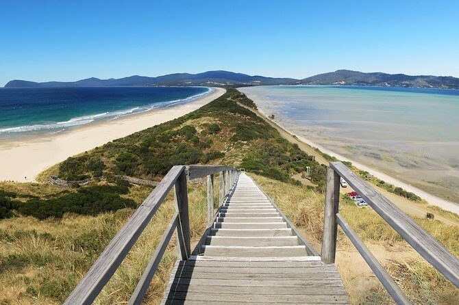 Bruny Island Day Tour Private Charter Service - Key Points
