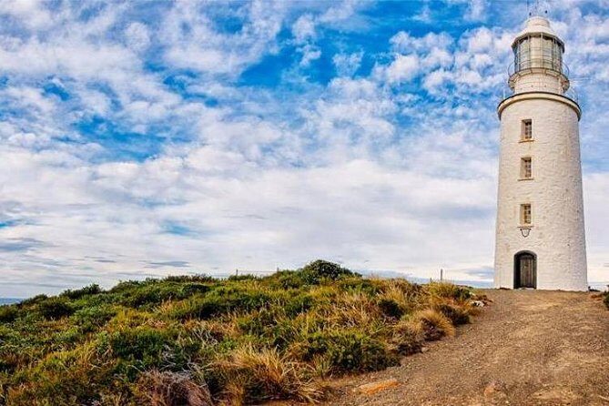 Bruny Island Day Tour Private Charter Service - An Overview of the Tour