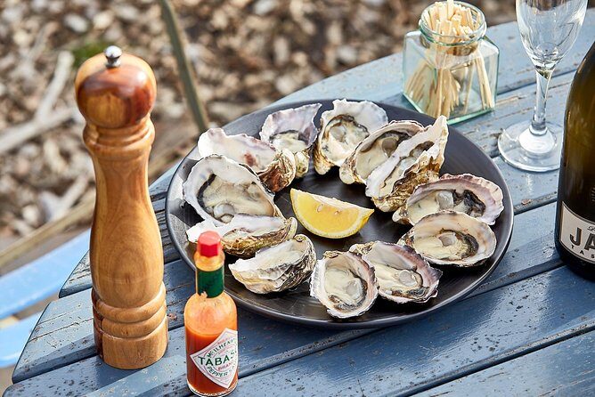 Bruny Island Day Tour Private Charter Service - Who Should Consider This Tour?