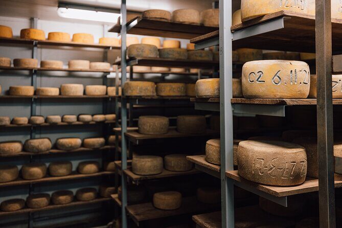 Bruny Island Day Tour Scenic Views And Local Tastings - A Detailed Look at the Tour