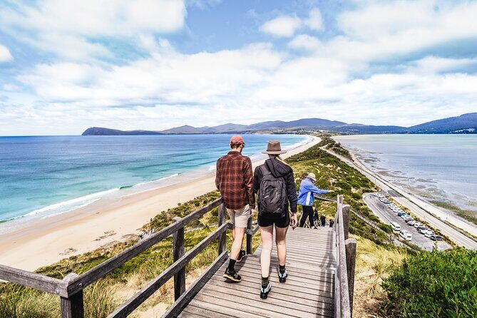 Bruny Island Food, Sightseeing, Guided Lighthouse Tour & Lunch - Who Should Consider This Tour?
