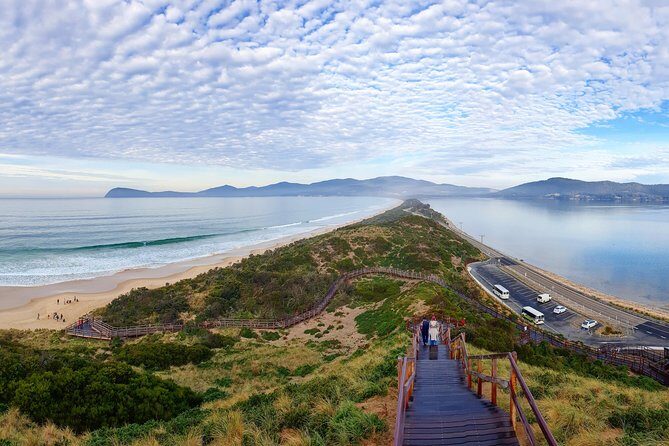 Bruny Island Food, Sightseeing, Guided Lighthouse Tour & Lunch - Final Thoughts: Who Will Cherish This Tour?
