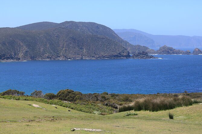 Bruny Island Small-Group Guided Tour From Hobart - FAQ