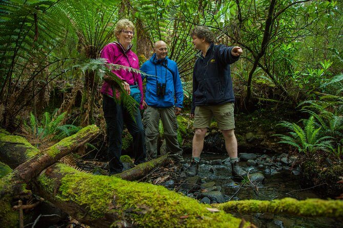 Bruny Island Traveller - Gourmet Tasting and Sightseeing Day Trip from Hobart - What to Expect from the Tour