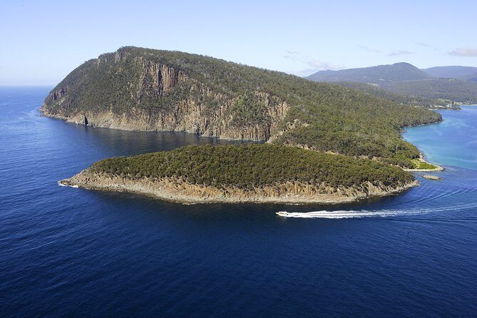 Bruny Island Wilderness Cruise from Adventure Bay, Bruny Island - The Experience from a Traveler’s Perspective