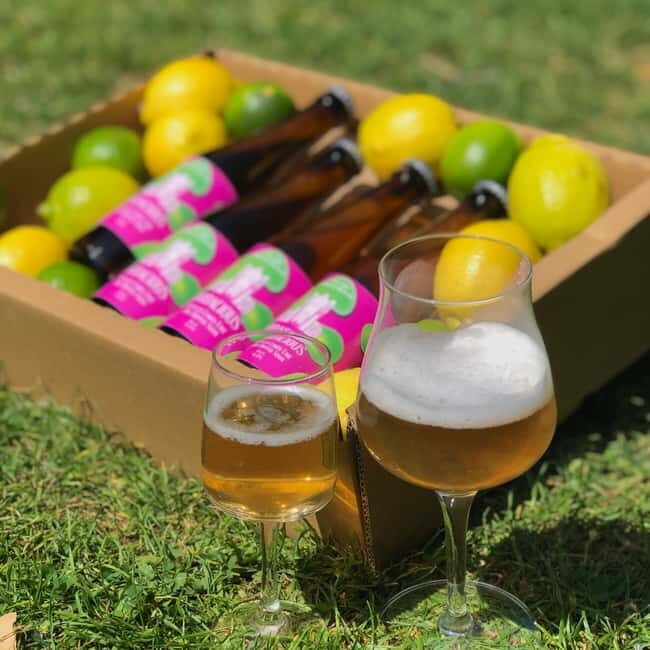 Brussels: beer tasting workshop in a micro brewery - Key Points
