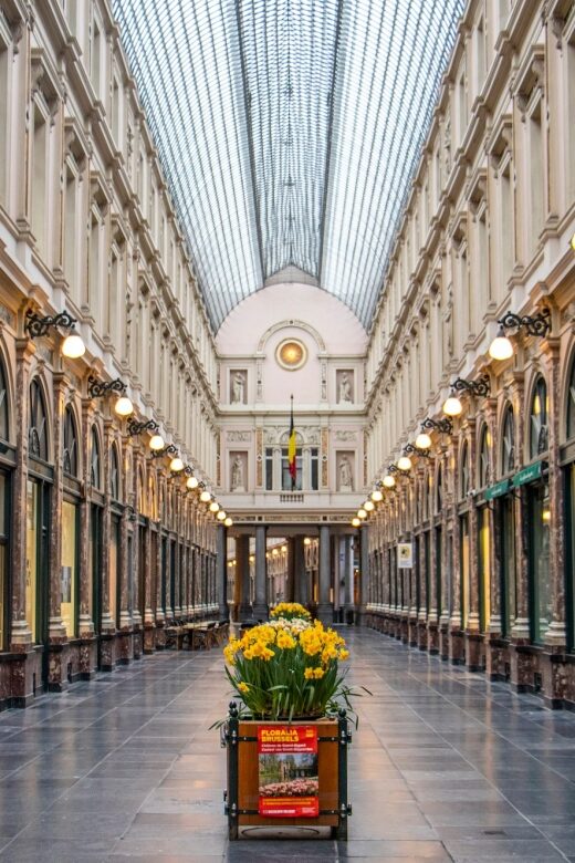Brussels: Capture the most Photogenic Spots with a Local - The Sum Up