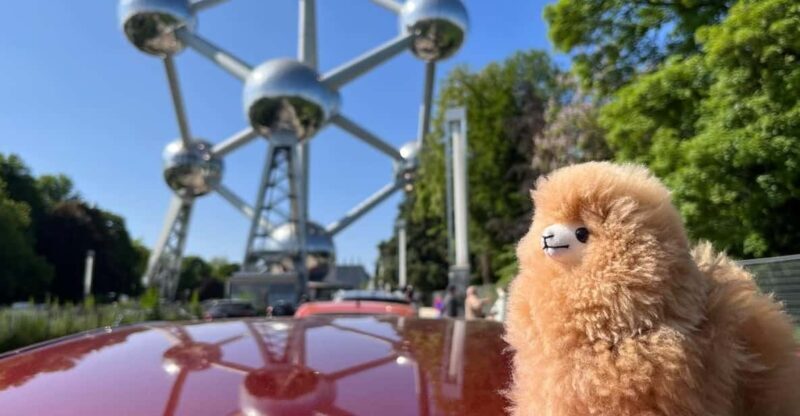 Brussels Day Trip from Paris or Amsterdam by Mini-Van - An In-Depth Look at the Brussels Day Trip