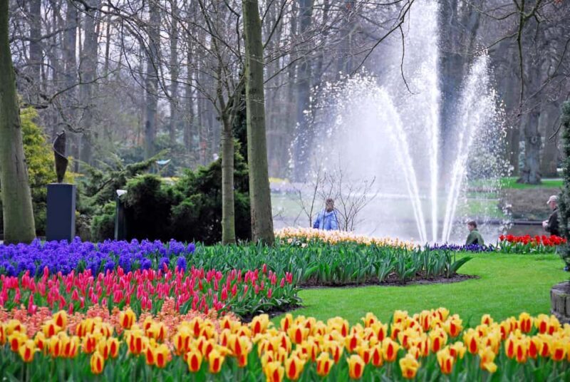 Brussels: Full Day Holland Keukenhof & Windmills Guided Tour - What’s Included and What to Expect
