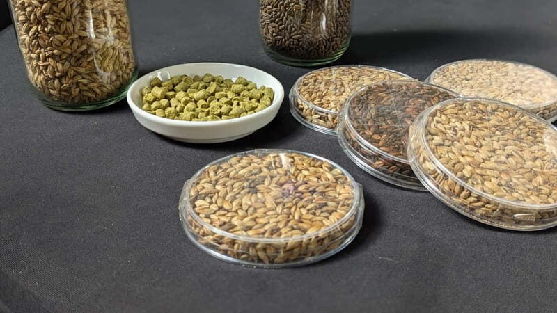Brussels: micro brewery & distillery tour + beer tasting - The Itinerary in Detail