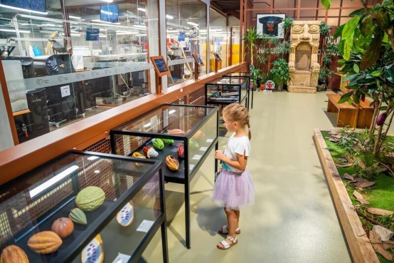 Brussels: Private Family Tour. Highlights, Tasting & Museum - What the Reviews Say