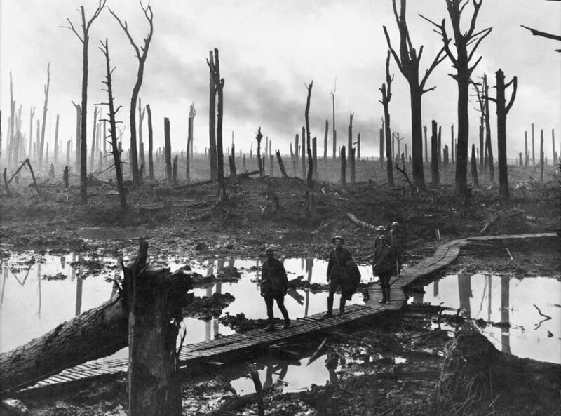 Brussels: Private World War I Battlefield Tour - Practical Considerations and What to Expect