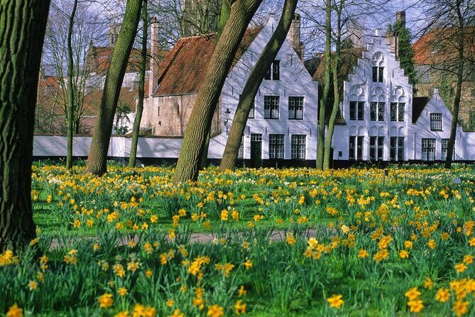 Brussels to Bruges: Private & Personalized Day Trip with a Local - Key Points