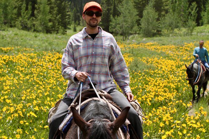 Bryans Flat View Horseback Ride - An In-Depth Look at the Bryans Flat View Horseback Ride