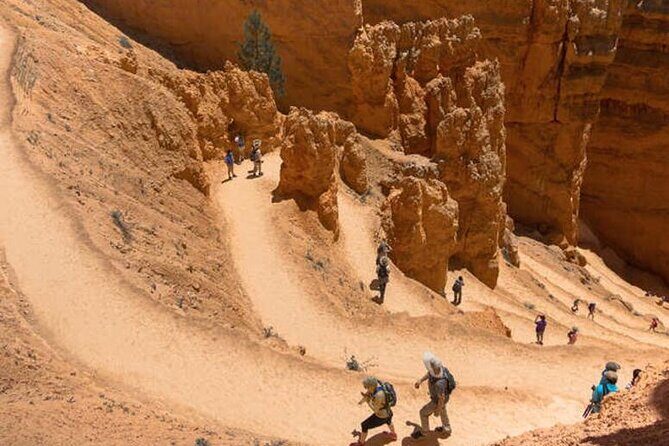 Bryce Canyon and Zion National Park Tour - Authentic Experiences and Practical Details