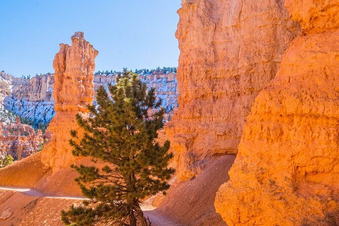 Bryce Canyon and Zion National Park Tour - The Sum Up