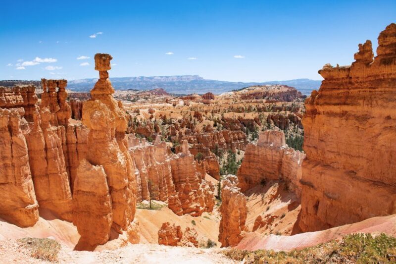 Bryce Canyon City Guided ATV/RZR Tour - The Sum Up