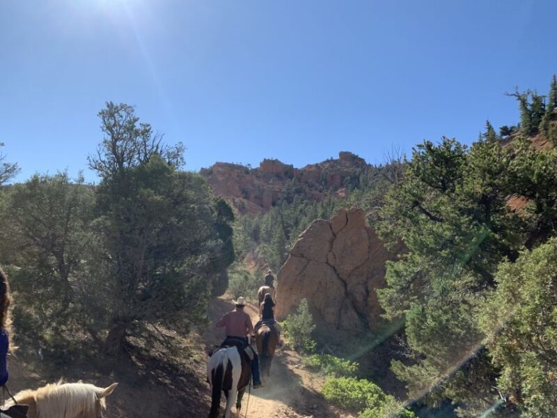 Bryce Canyon City: Horseback Riding Tour in Red Canyon - A Closer Look at the Horseback Riding Experience