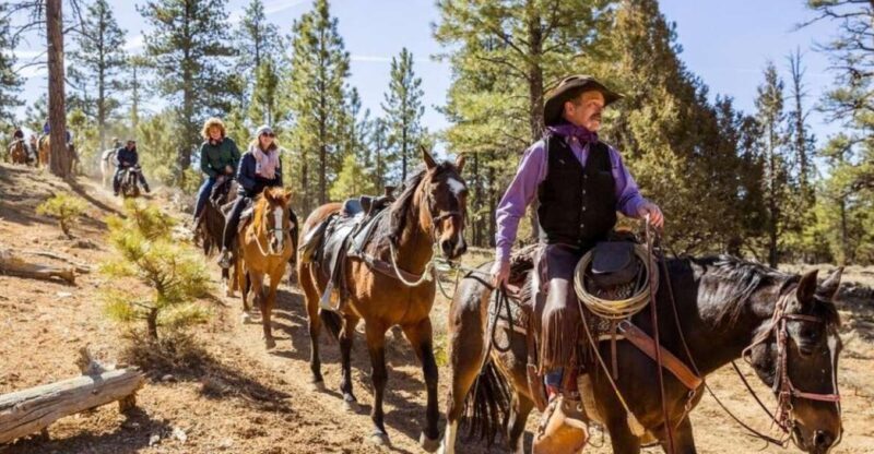 Bryce Canyon City: Horseback Riding Tour in Red Canyon - Who Should Consider This Experience