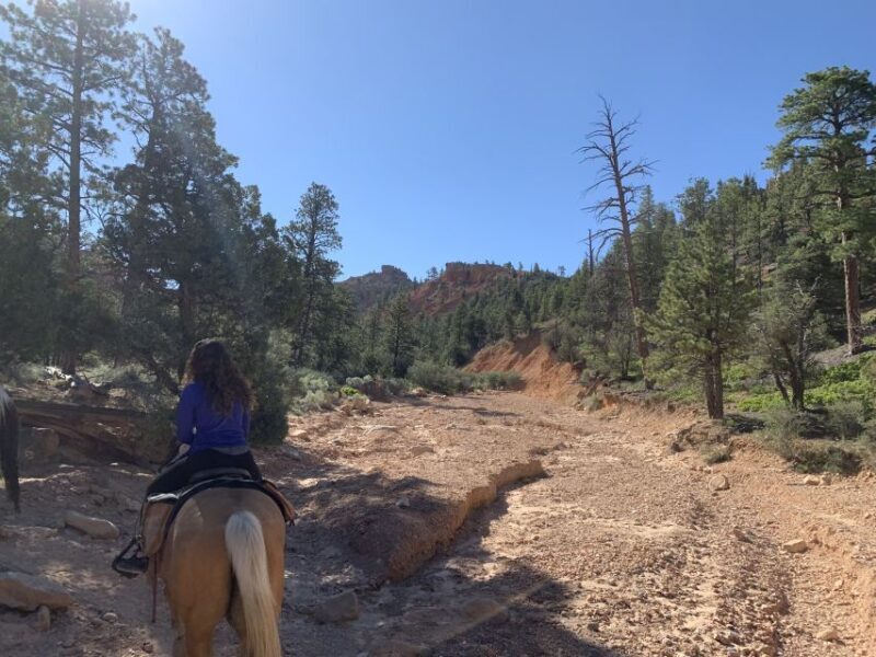 Bryce Canyon City: Horseback Riding Tour in Red Canyon - The Sum Up