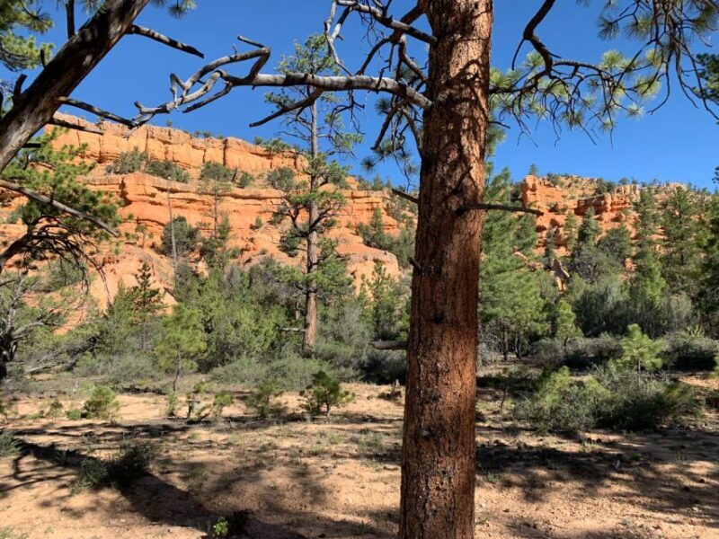 Bryce Canyon City: Red Canyon Horse Riding Day Trip w/ Lunch - Final Thoughts